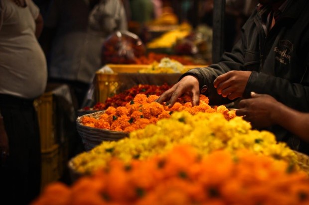 Bombay in bloom: Inside Mumbai's Dadar flower market