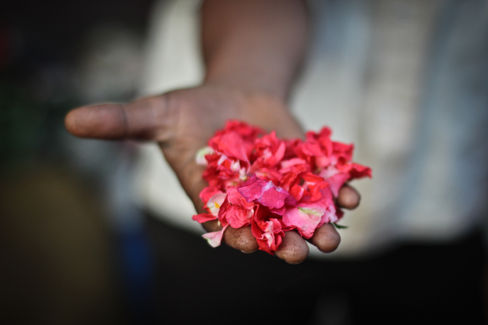 Bombay in bloom: Inside Mumbai's Dadar flower market