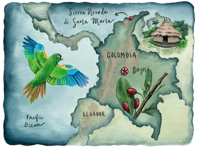 Candace Rose Rardon – Writer, Illustrator & Visual Storyteller